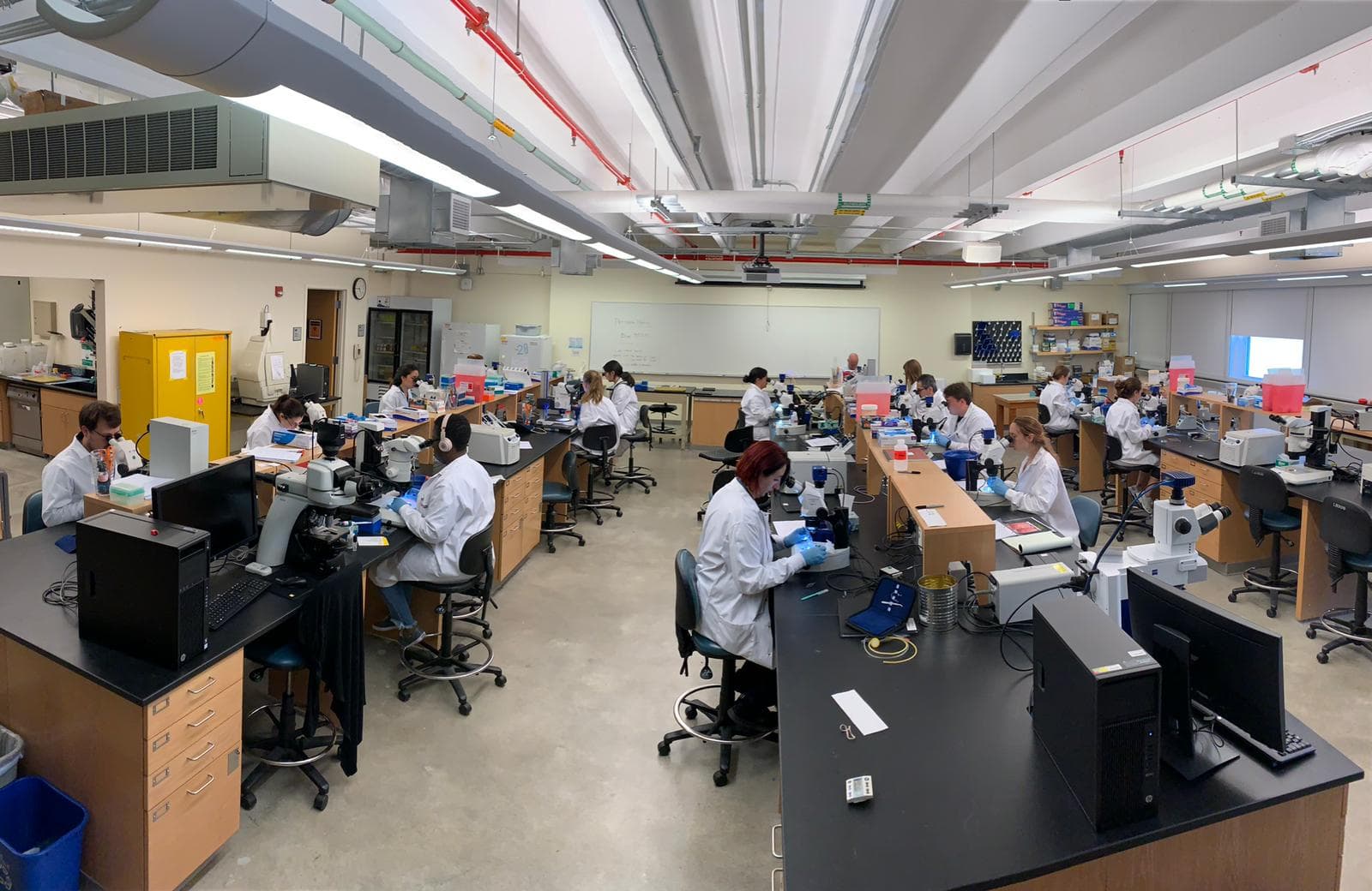 Fish Reproduction Group