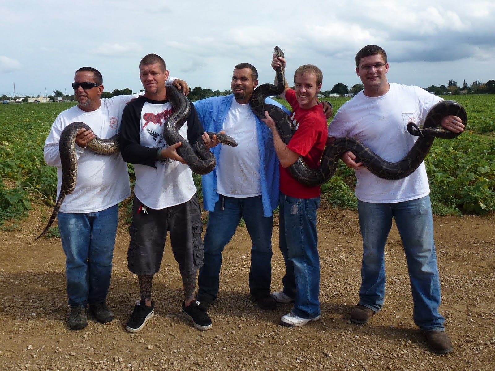 Florida Python Hunters: Another Good Day of Hunting