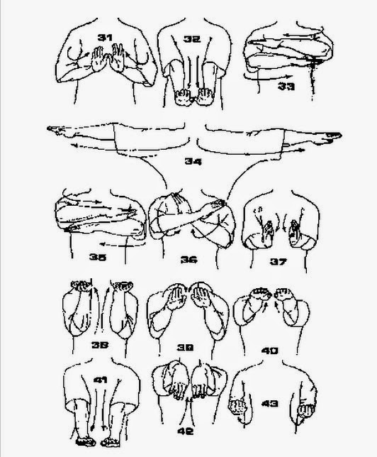 The Wing Chun Master