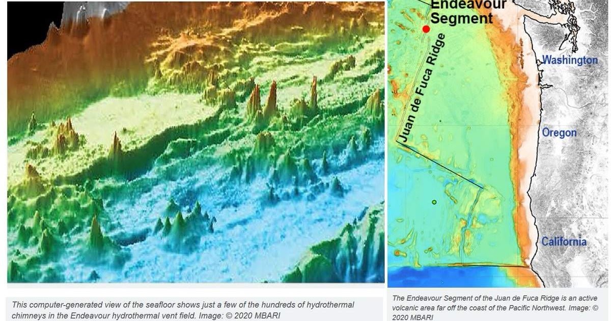 Hundreds of Towering Hydrothermal Chimneys Discovered on Seafloor Off ...