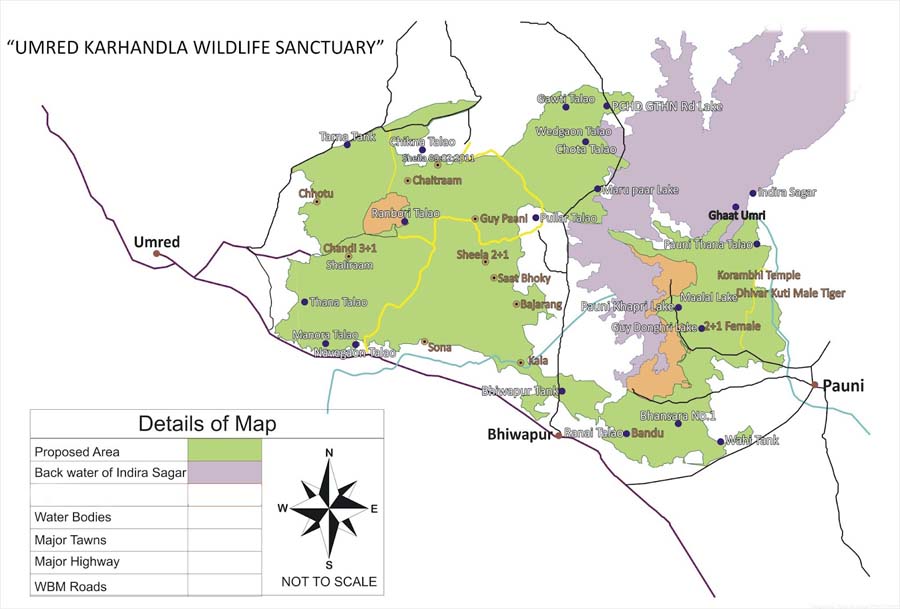 Nature Is Always Beautiful: Umred Karhandla Wildlife Sanctuary