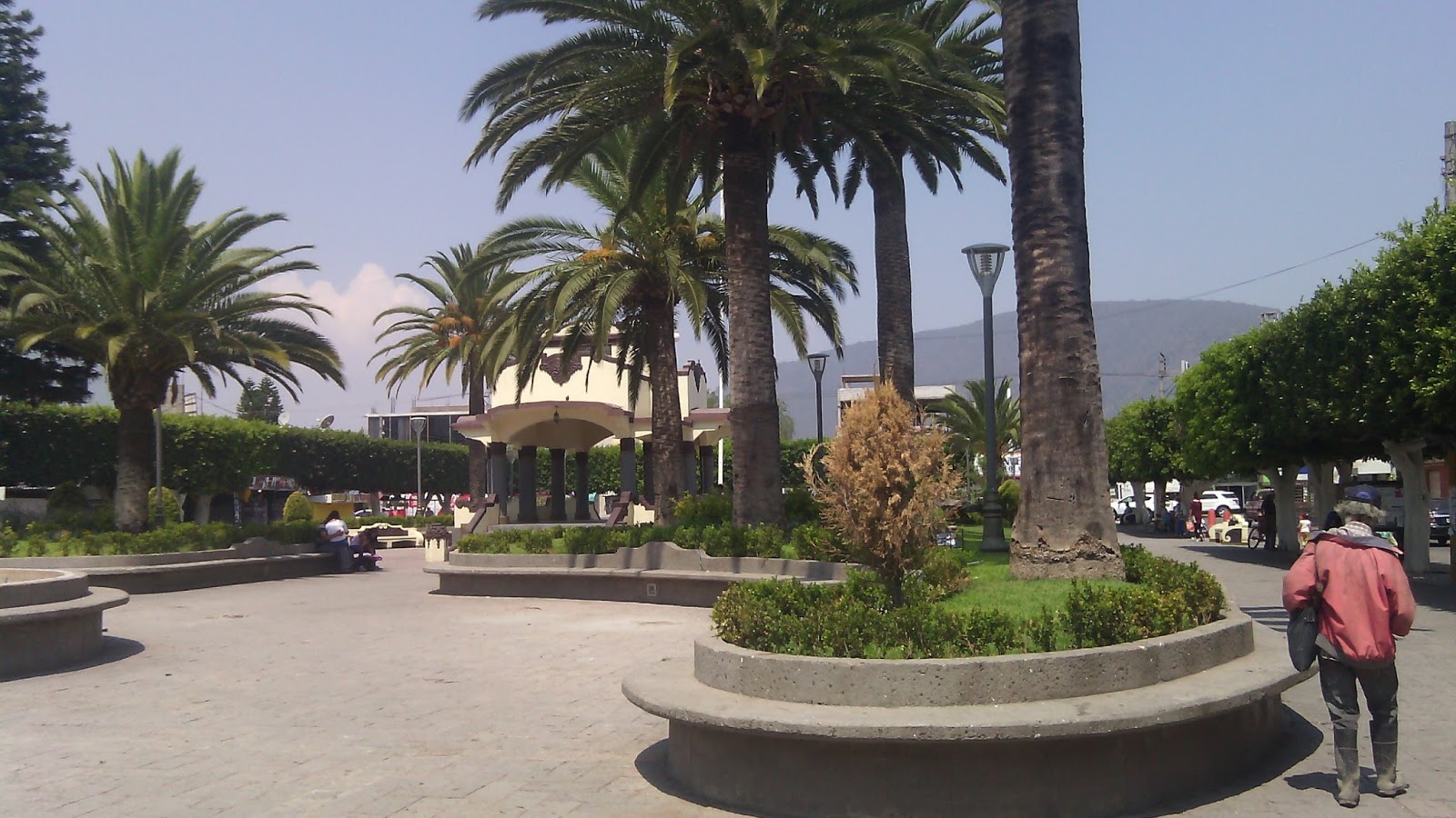 PROGRESO DE OBREGON: HISTORIA