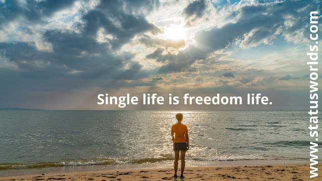 [Latest] Being Single Status & Quotes For Single People - Status World