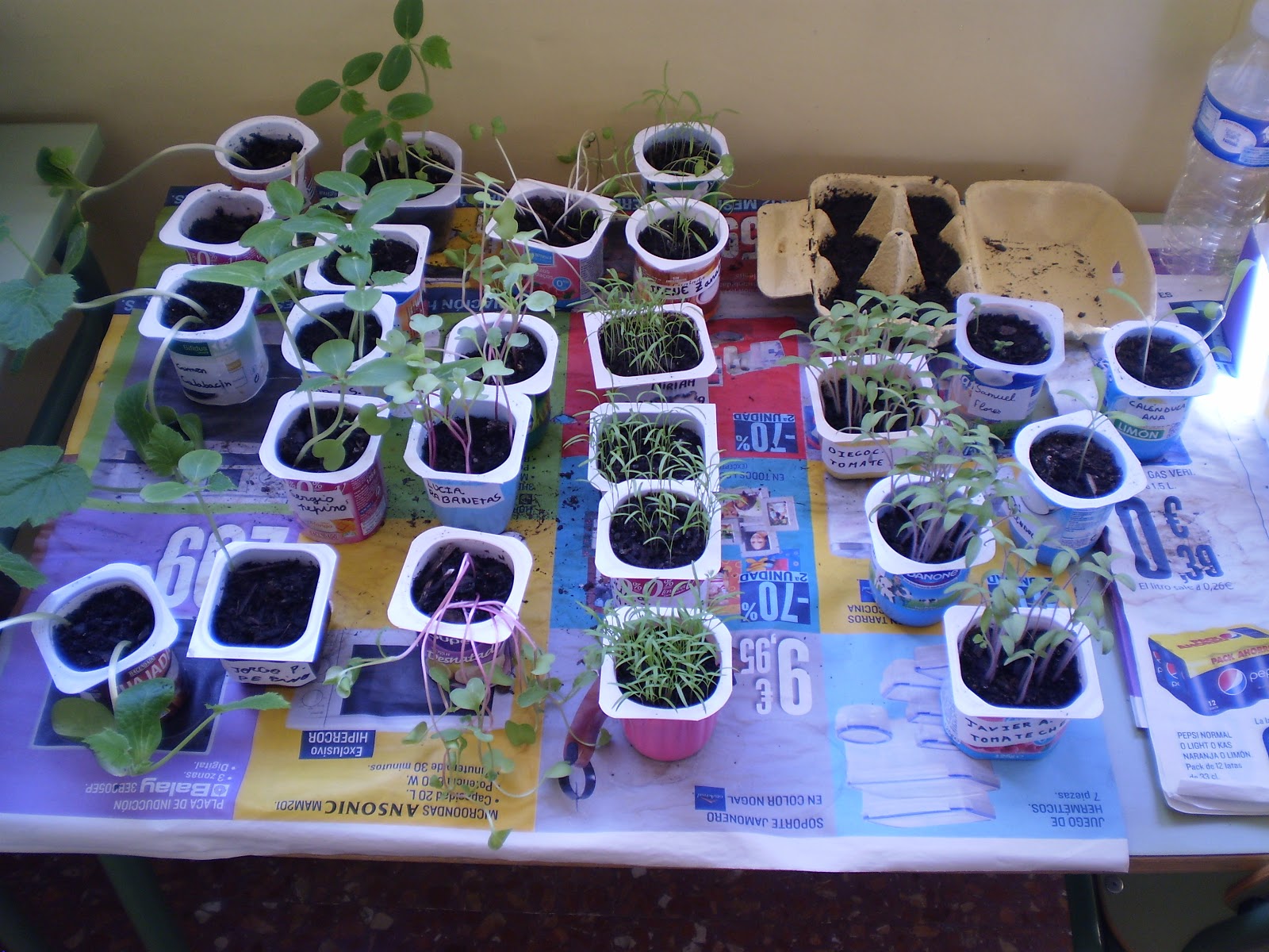 NUESTRO HUERTO ESCOLAR: EL PLANTERO
