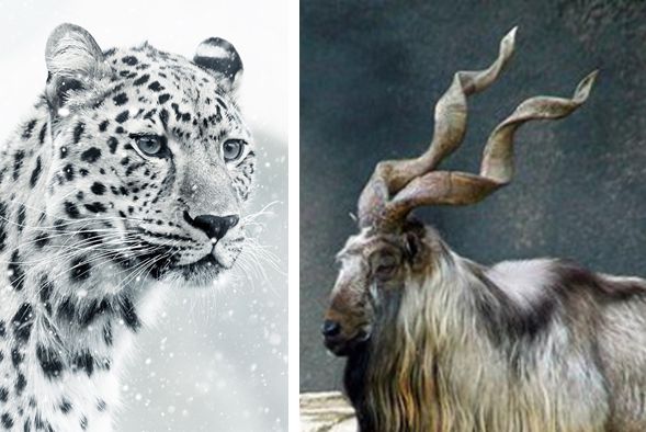 Pakistan - Your Travel Destination 2019 (Part VI): Dare to Watch Live ...