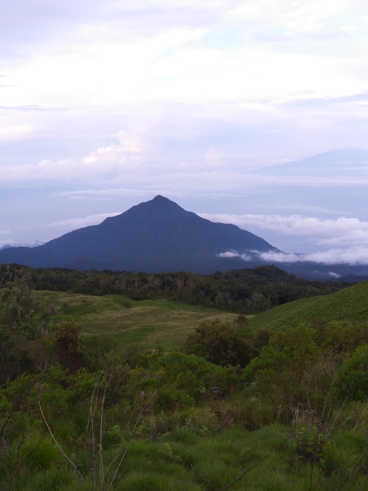 Global Hand Cameroon : THE LEGENDARY MOUNT CAMEROON