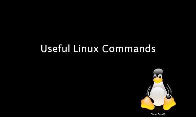 Top 20 Linux Commands for System Administrator in Linux - TalktoHacker