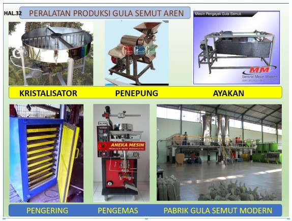Budidaya Aren : Cara Menanam Aren Di Lahan Gambut