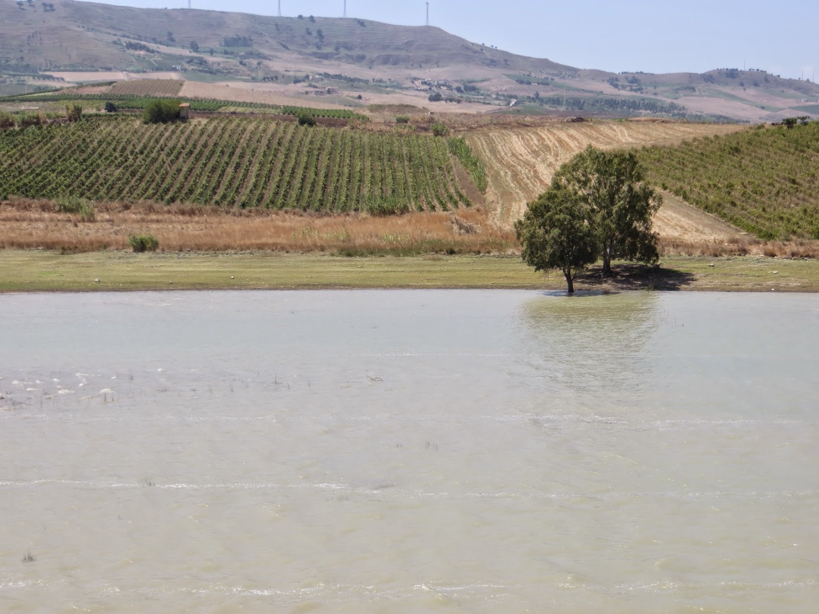 Reportage On Way: Lago Poma, Partinico (Pa)