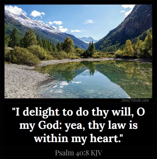 2-timothy-2-15-truth-verse-of-the-day-psalm-40-8-kjv