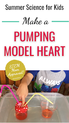 Easy Prep Human Body Experiments for the Classroom