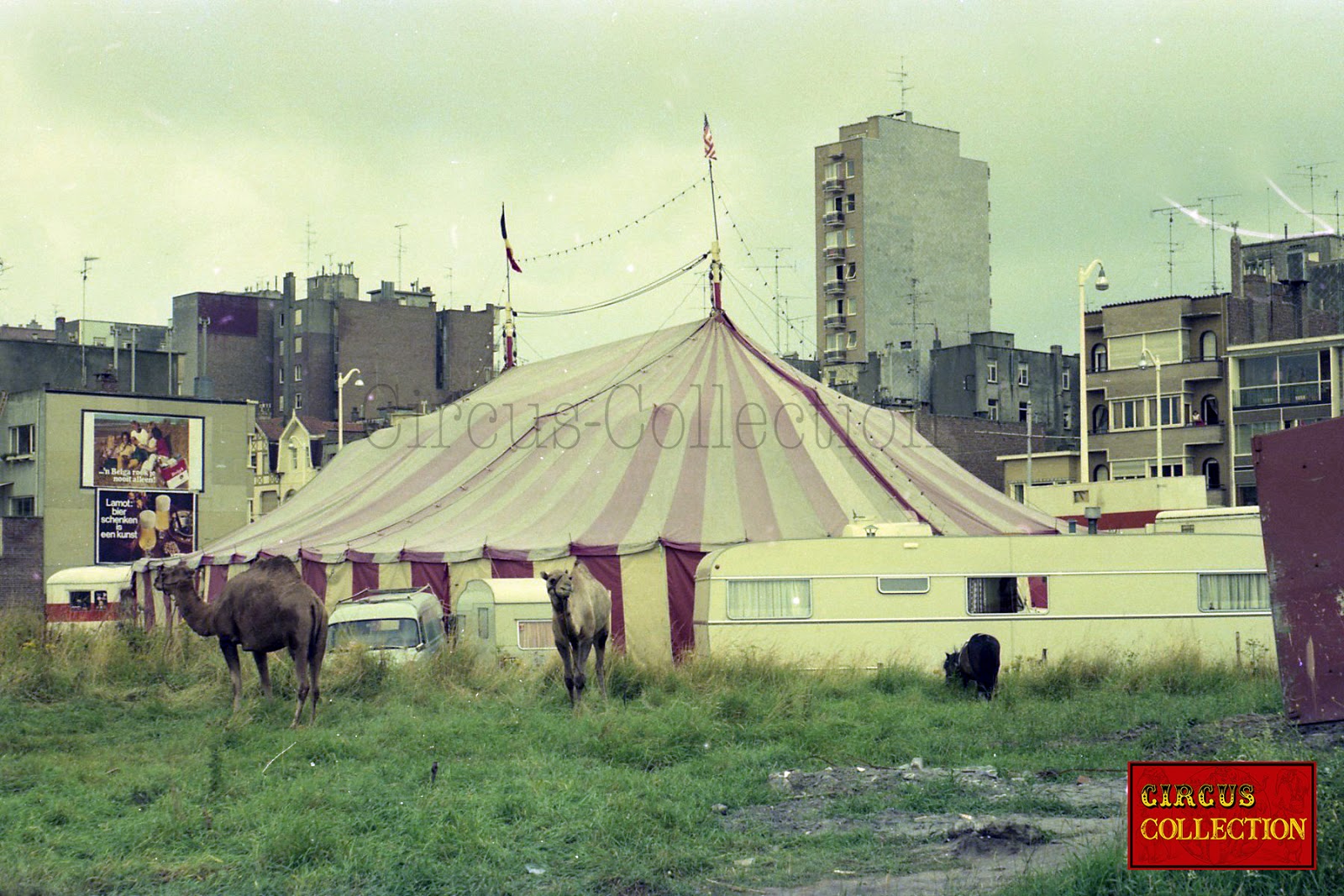 Circus -Collection: Circus Apollo 1975, les installations