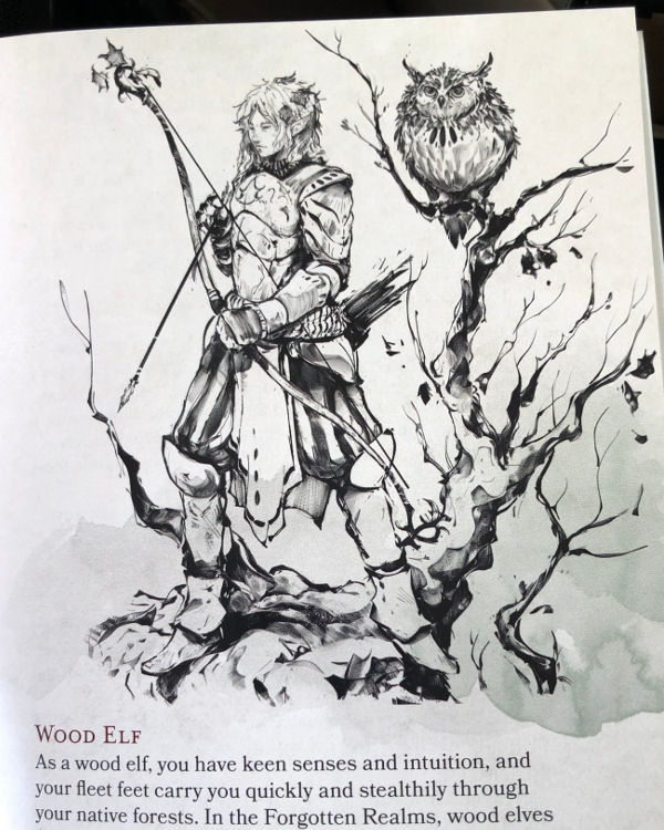 Raging Owlbear: Review: D&D Essentials Kit