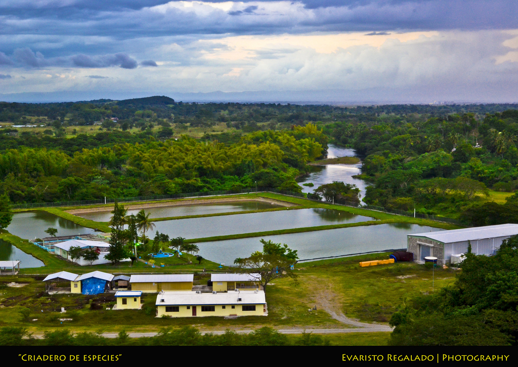 Cotuí Sánchez Ramírez: PRESA DE HATILLO