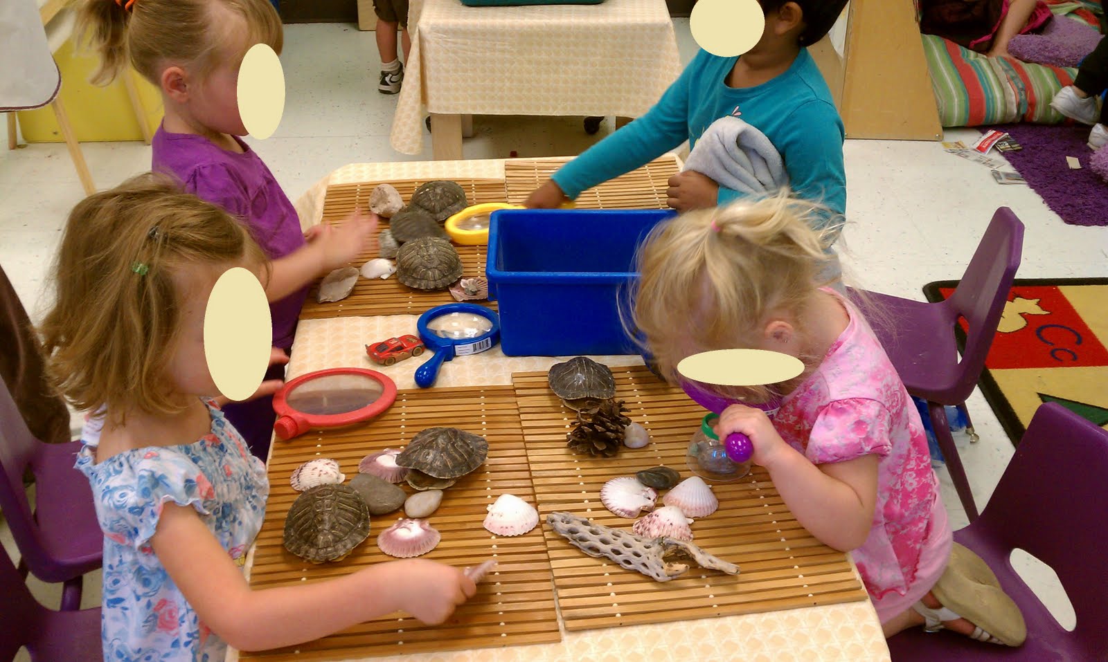 Play-Based Classroom: Using Natural Items In the Classroom