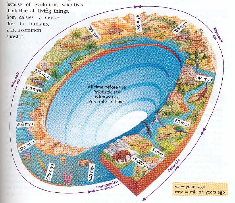 era geologicas : era geologica