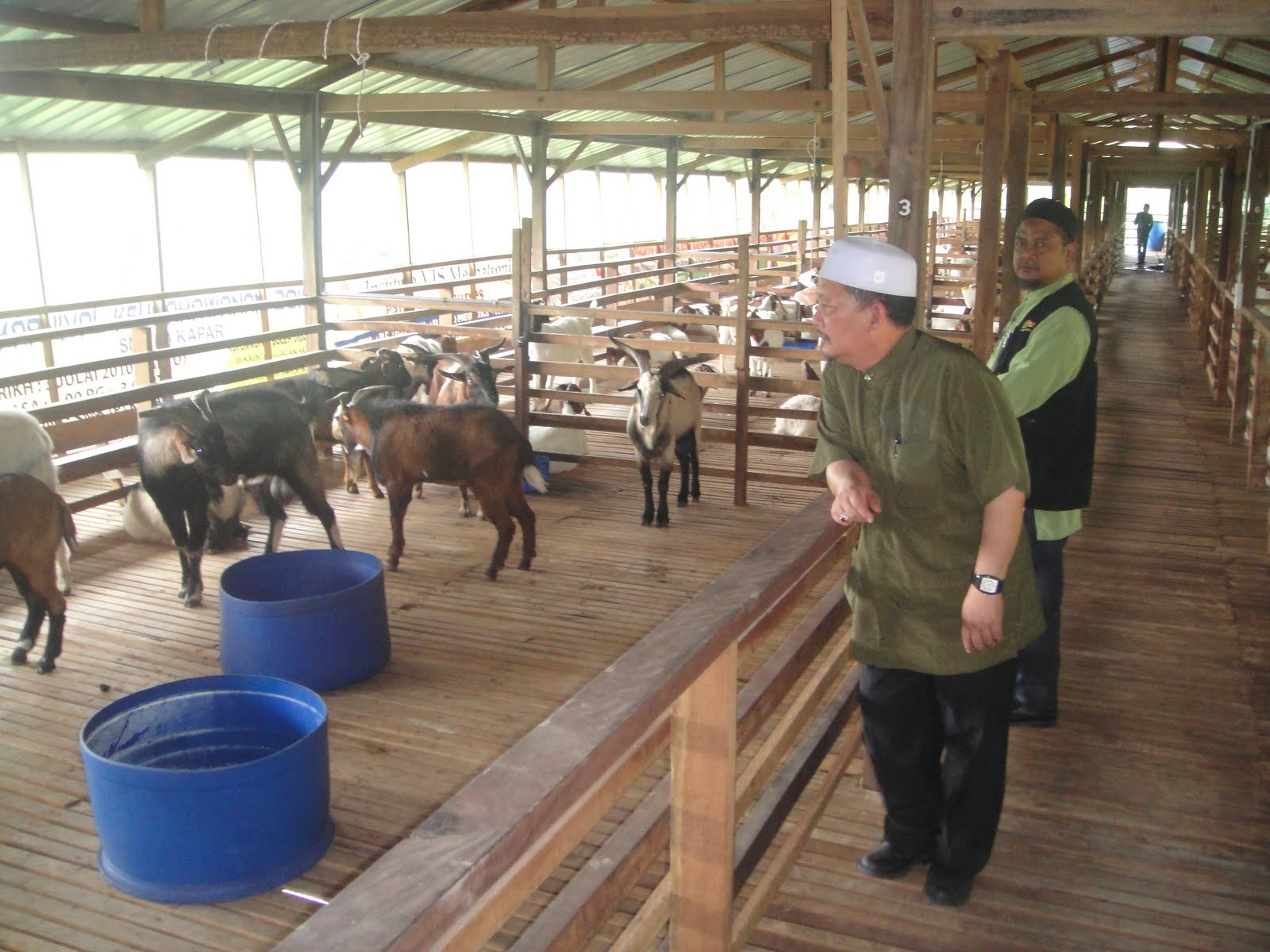 KHIDMAT MERU: LAWATAN KE PENTERNAKAN KAMBING DI KANDANG