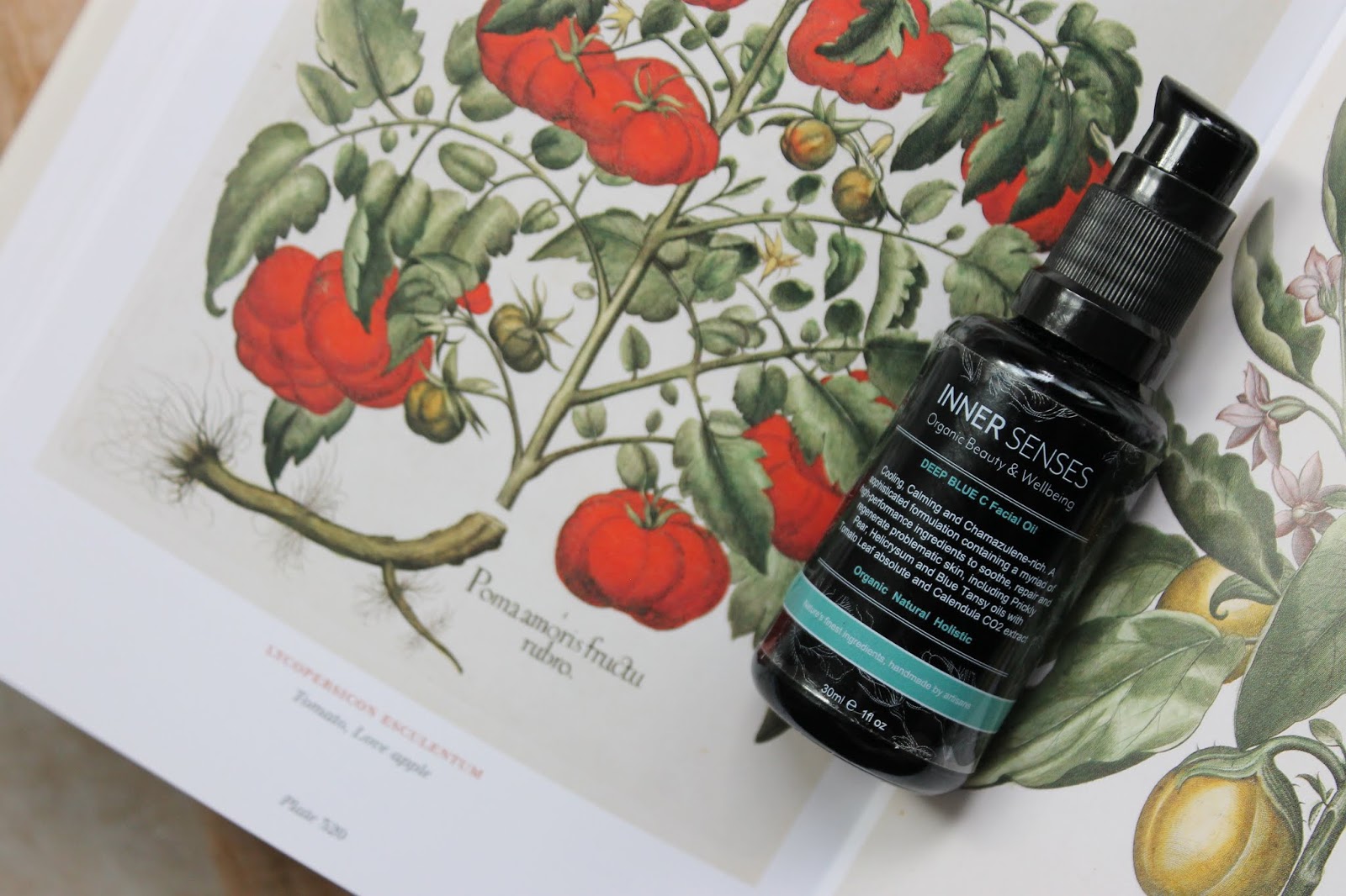 Inner Senses Ambassador Favourites! - The ecoLogical