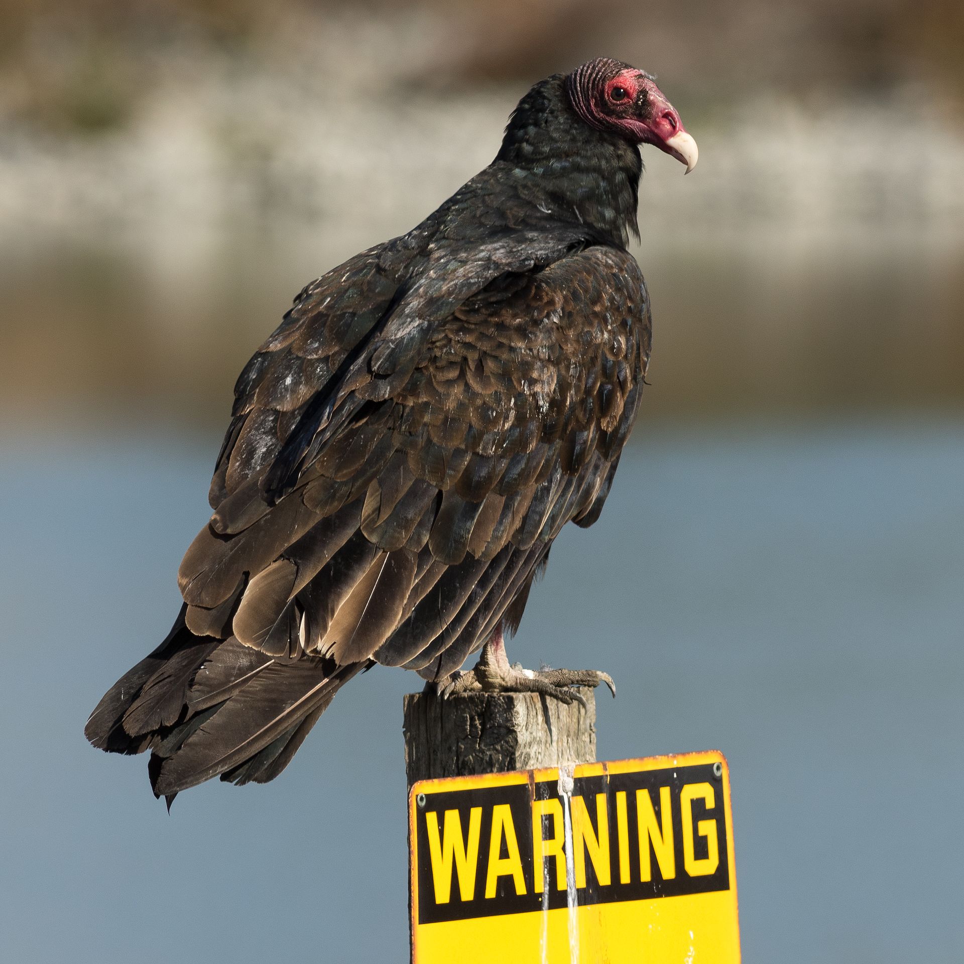 🛠 Jörg Reinholz, Schlosser: 2021