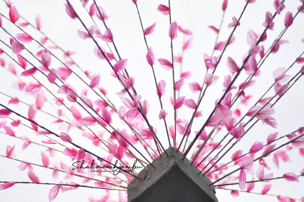 Fungsi Bunga Manggar | Blog Sihatimerahjambu