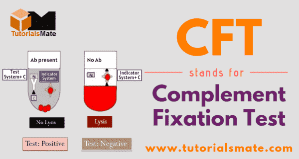 CFT Full Form: What is the full form of CFT? - TutorialsMate