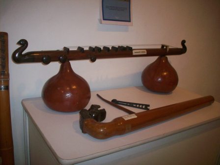 Rare Musical Instruments Museum (Chennai - Tamil Nadu) | My Travelogue ...