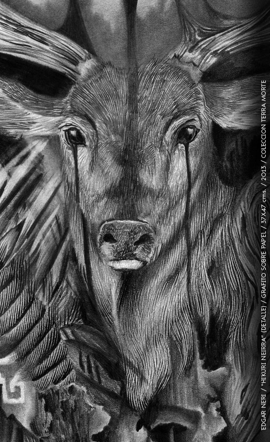 Edgar Neri ARTE/DISEÑO/ILUSTRACION: HIKURI NEIRRA