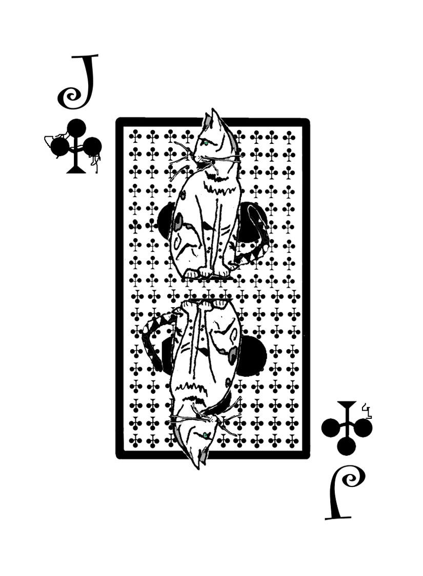 the glamourous life: Playing Cards entranced by solitaire meditations