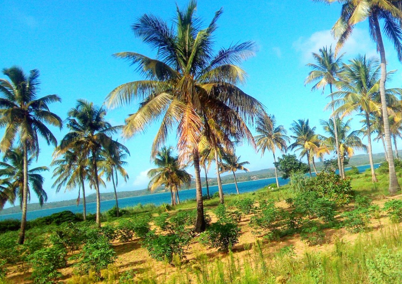 World Citizen: Madagaskar, Baie de Moramba