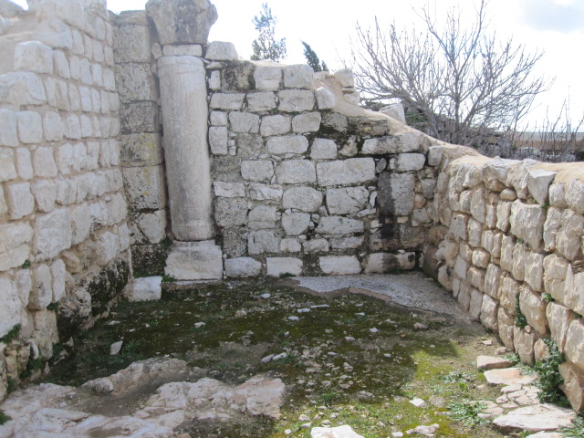 Wine Wonders of the World: TAYBEH, PALESTINE