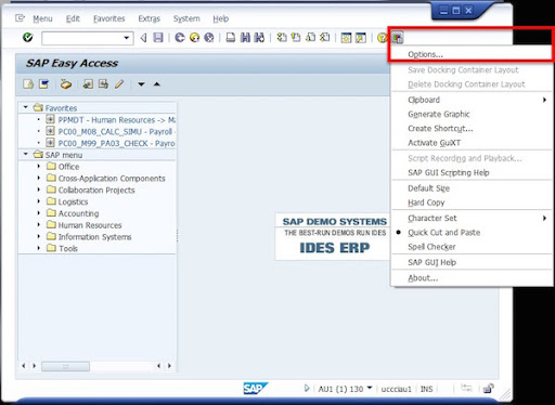 Sap Gui Scripting Sap Security