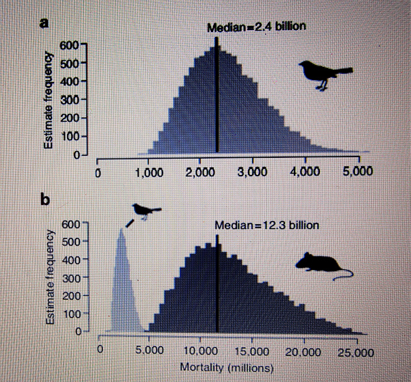 Birding Is Fun!: The three greatest threats to our native birds