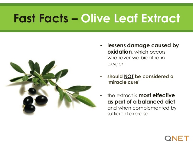The Unexpected Benefits Of Olive Leaf Extract!