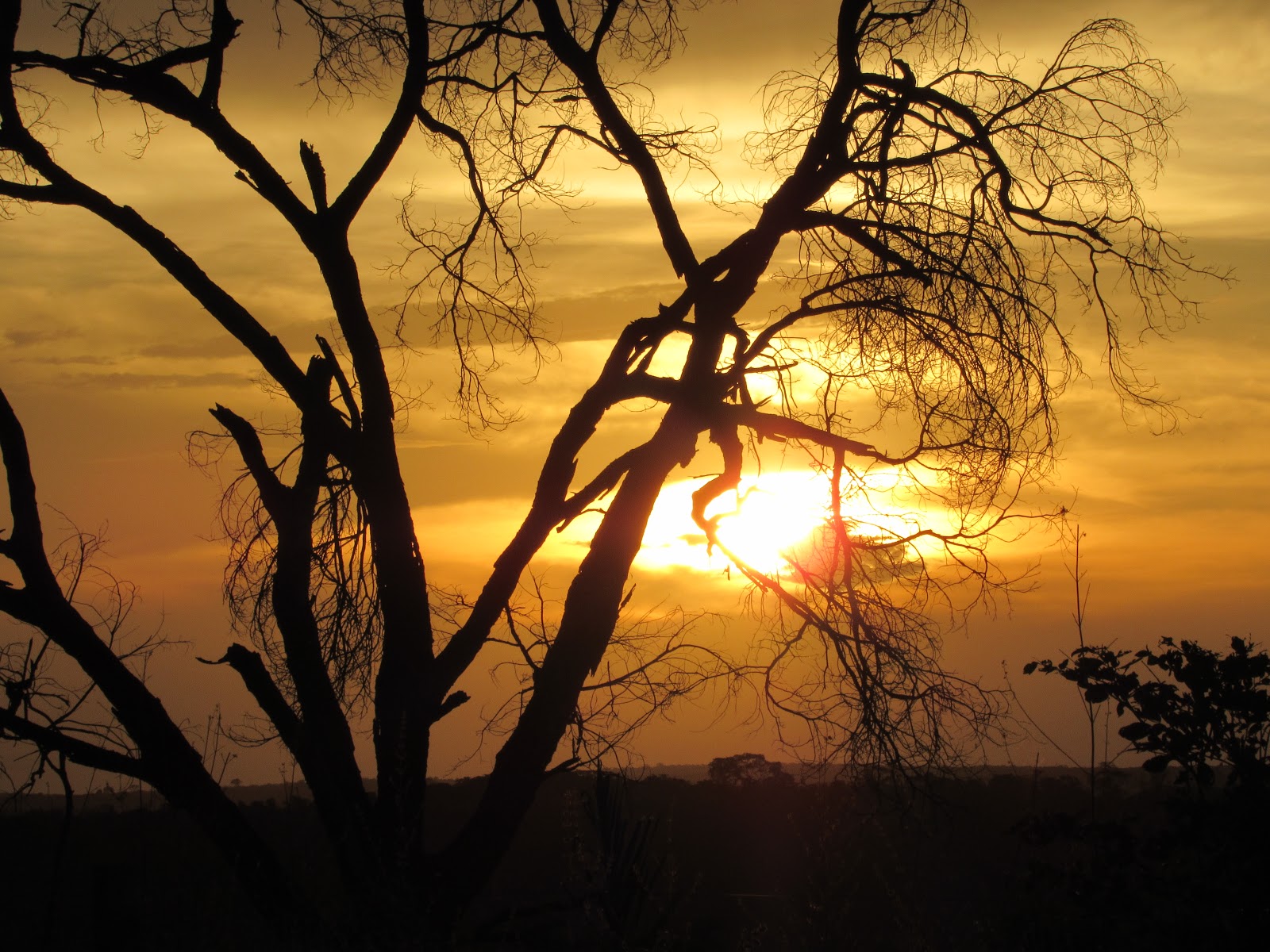 Poemas e frases: Fotos de paisagens da natureza na roça
