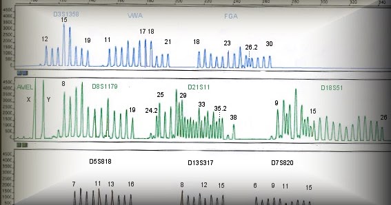 Probability and Risk: The problem with the likelihood ratio for DNA ...
