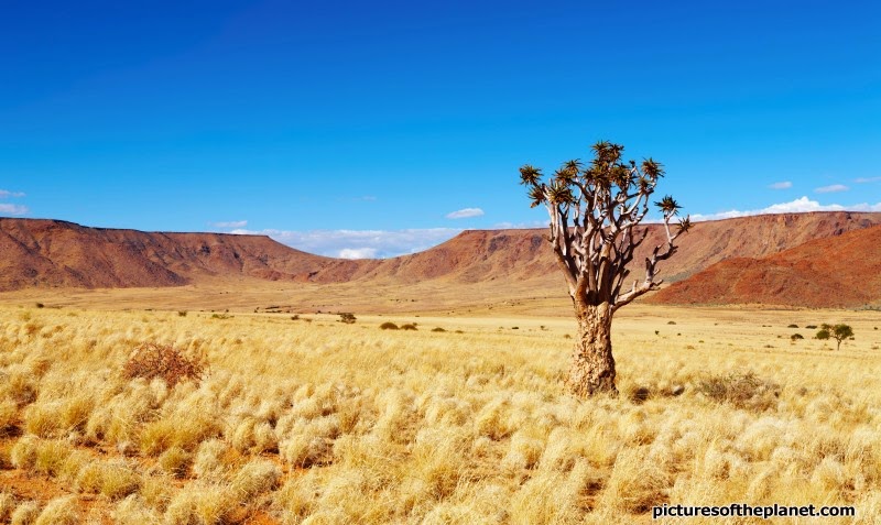 10 Gurun Terluas Didunia - Azan Syahrer el Mayanjzy | Moment Alam