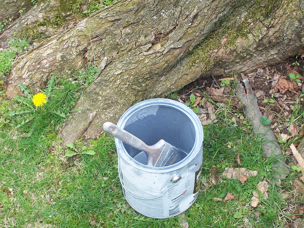 Sustainable Paint and Eco Friendly Decorating Guide - The ecoLogical