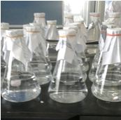 All About Microbiology: Media Pertumbuhan Bakteri Escherechia coli