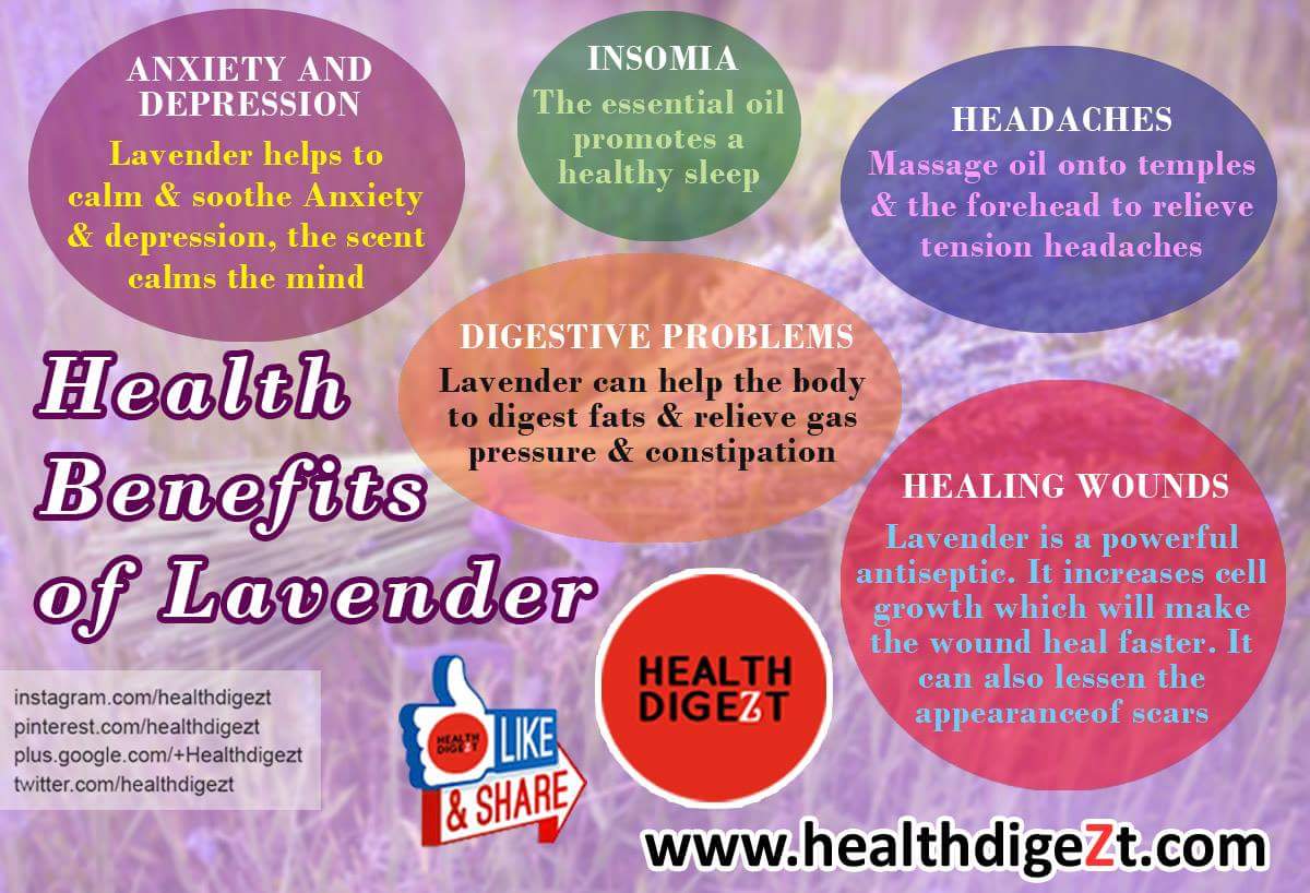 Health Benefits Of Lavender