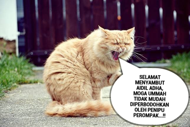 NKLpunya: PEROMPAK OH... PEROMPAK.!!