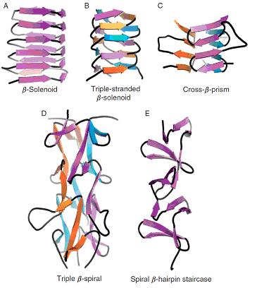 Groentech blog: Common properties of Alzheimer’s amyloid-beta and a ...