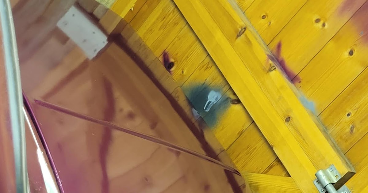 A mini saga: On it, like a car bonnet