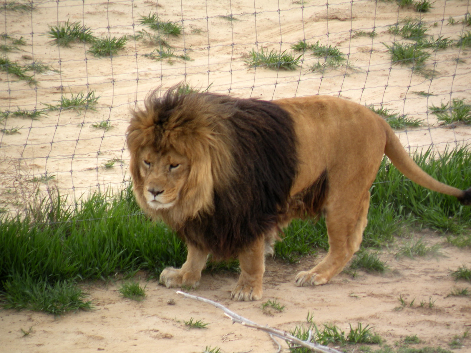 ART FOR LIFE: A DAY OF PLAY...SOME PICS TO SHARE!