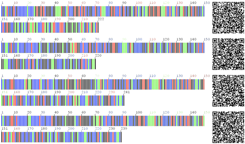 Bioterra: Código de barras da vida acelera identificação das espécies
