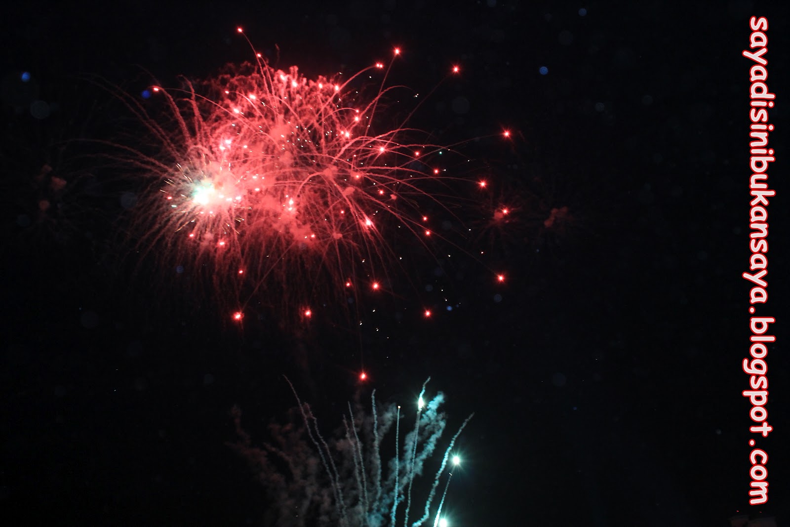 BukanSayaDisini: PERCIKAN Bunga Api @ FLORIA PUTRAJAYA 2012