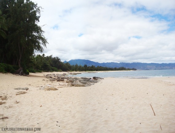 Novedades desde el set de Catching Fire!! | Real or not real News