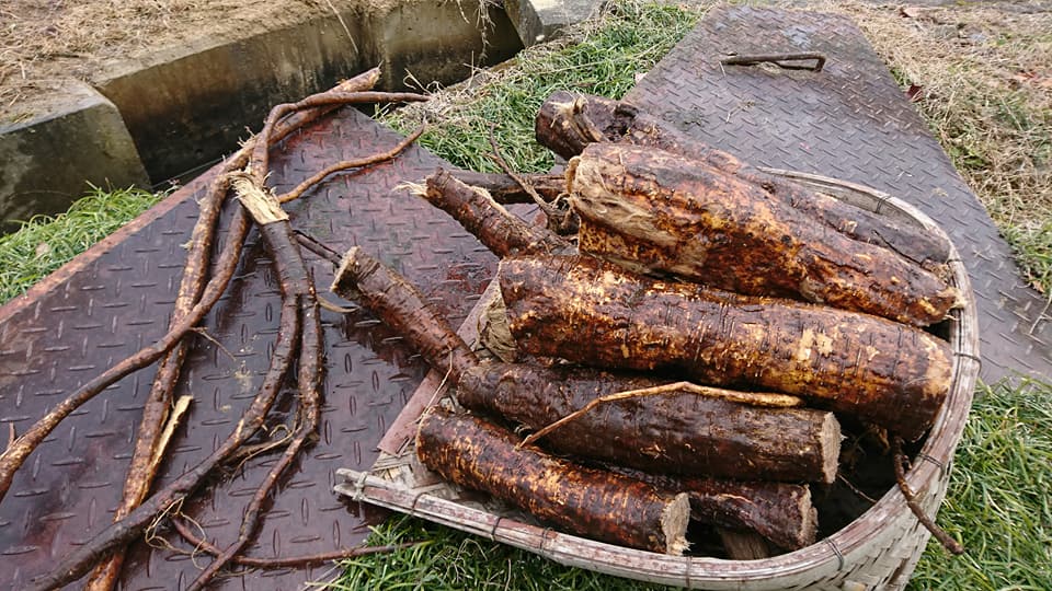 [3rd & 10th Feb 2018] Ultimate Slow Food: hunting Kudzu and processing ...