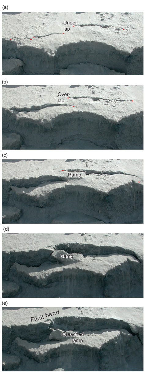 Learning Geology: Growth of fault populations