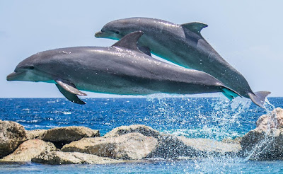 Killer Crafts & Crafty Killers: MEET AUTHOR HELEN HENDERSON'S ...