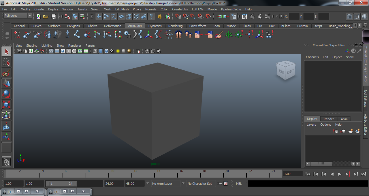 The Unified Projects ANI113205/7-13: DE Maya Prototype 2